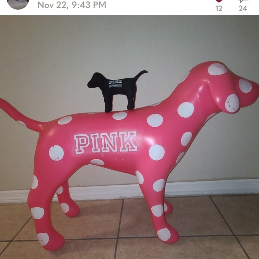 Major Iso: Pink Victoria’s Secret Plastic Store Displ… - Gem